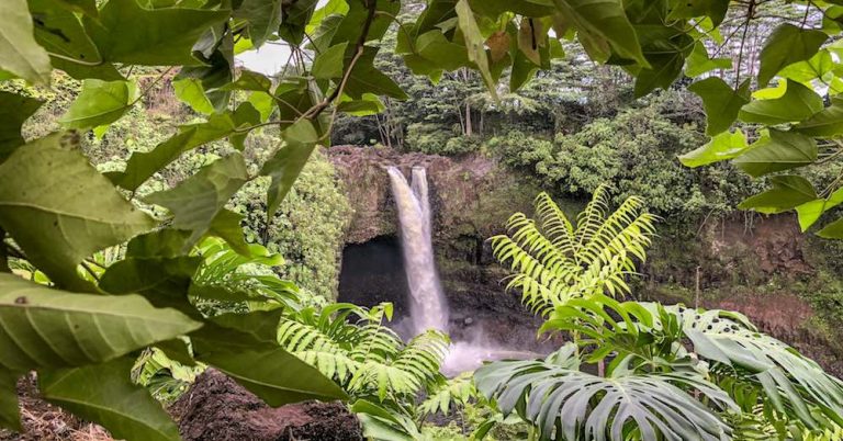 Things to do in Hilo Hawaii and beyond in 2023 (+ Best day trips)