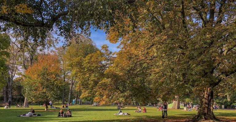 Classic and cool things to do in The Hague | CosmopoliClan